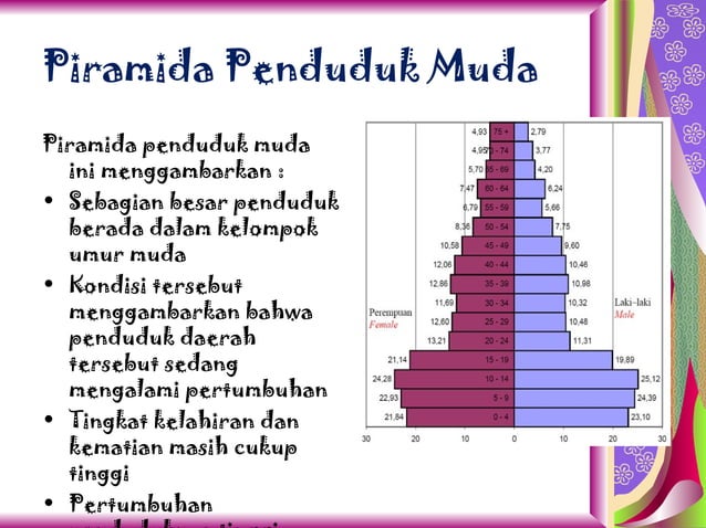 kepadatan penduduk di indonesia~versi cn | PPT