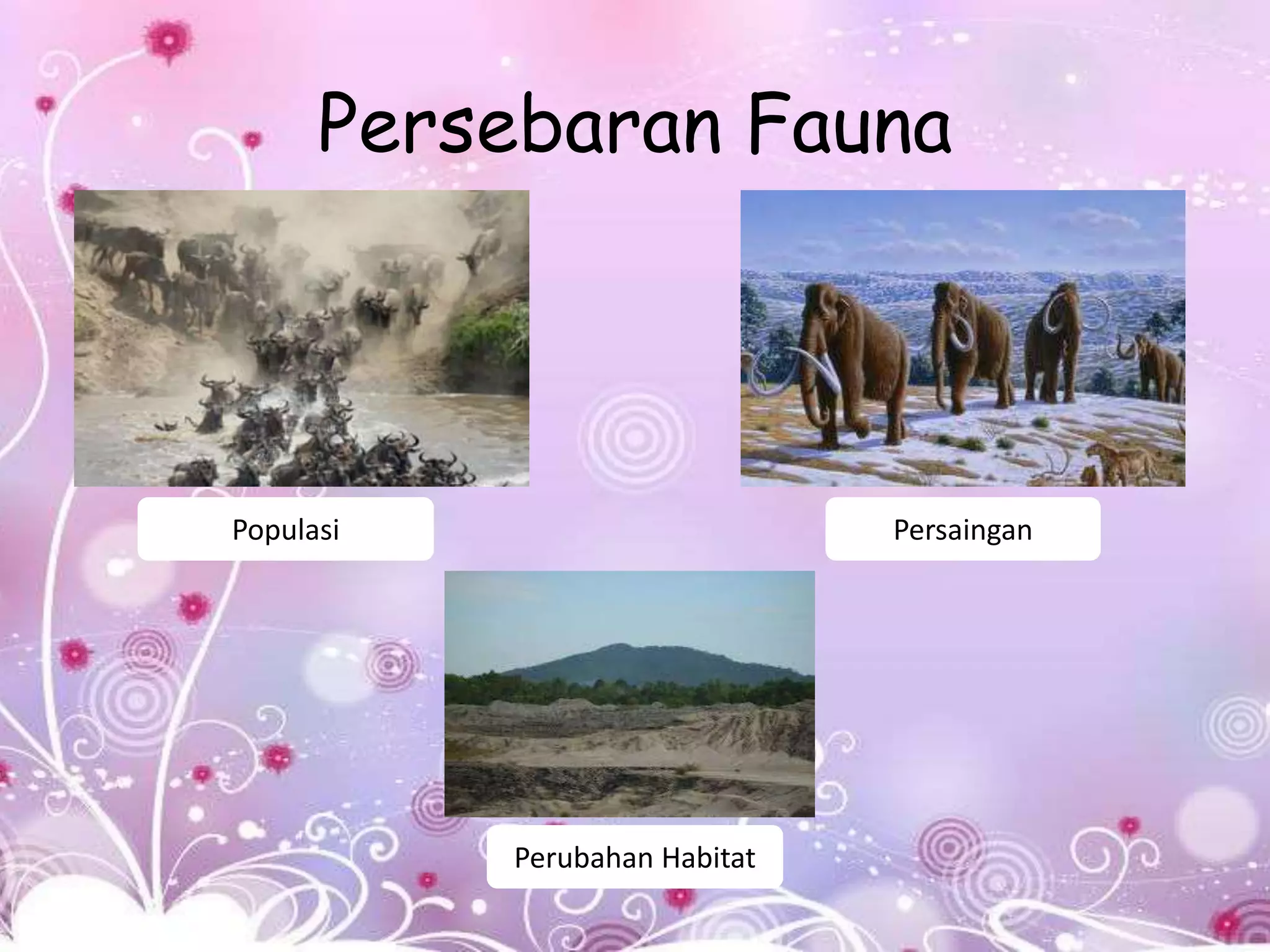 Flora dan Fauna di Indonesia | PPTX