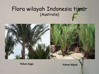 Flora dan Fauna di Indonesia | PPTX