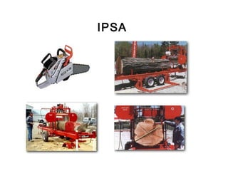 IPSA SUJARWO PICTURES | PPT
