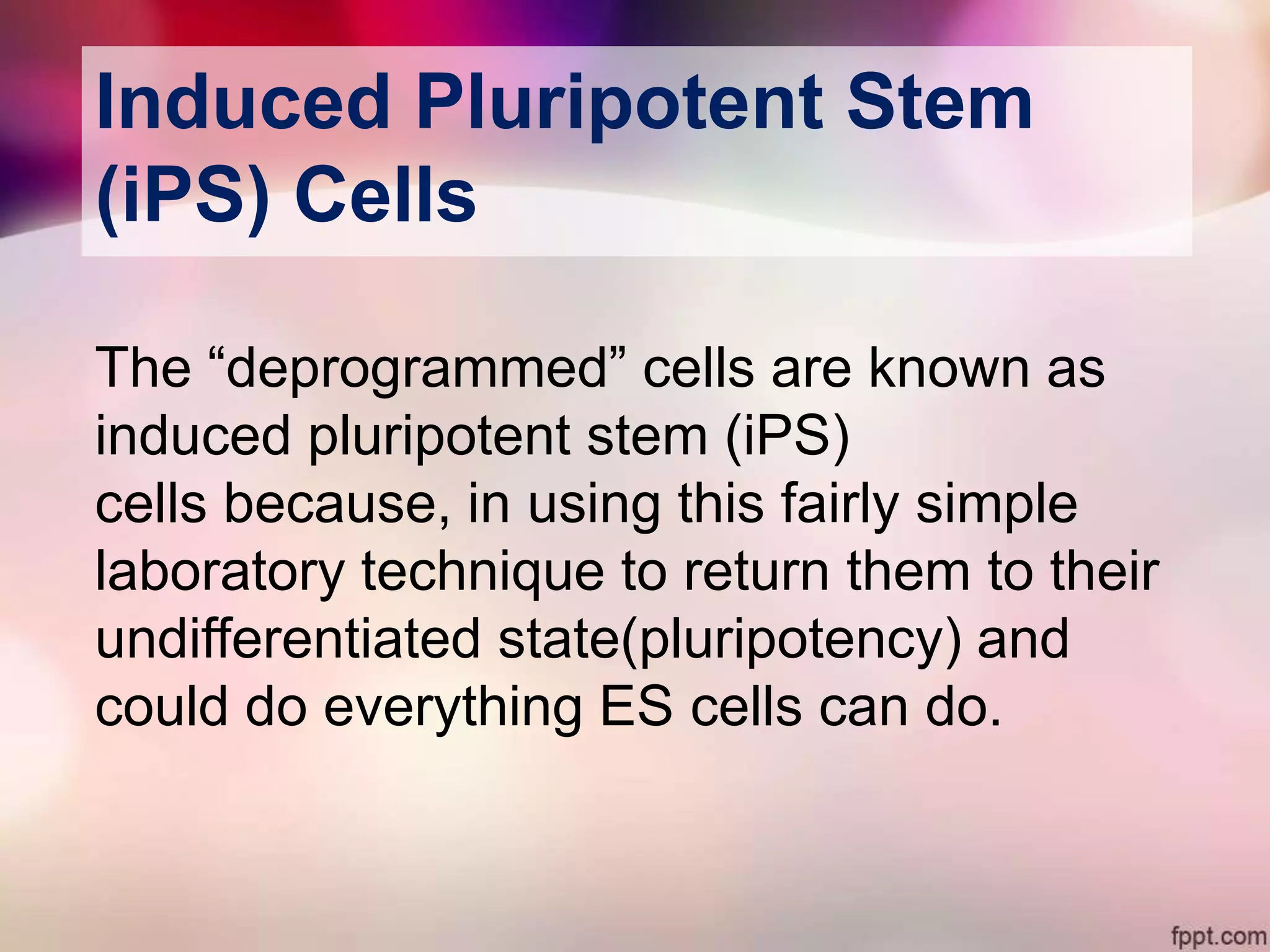 Induced Pluripotent Stem Cells, iPSCs | PPTX