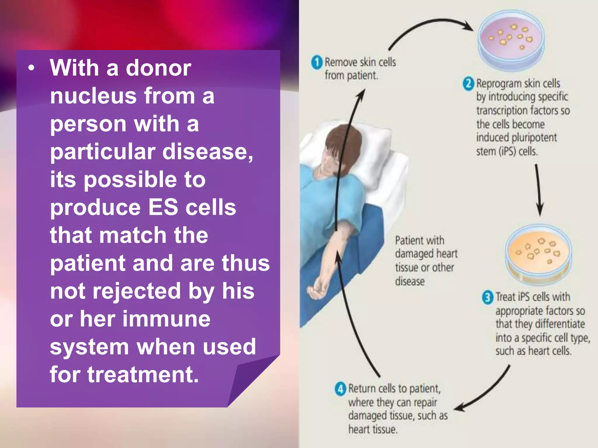 Induced Pluripotent Stem Cells, iPSCs | PPTX
