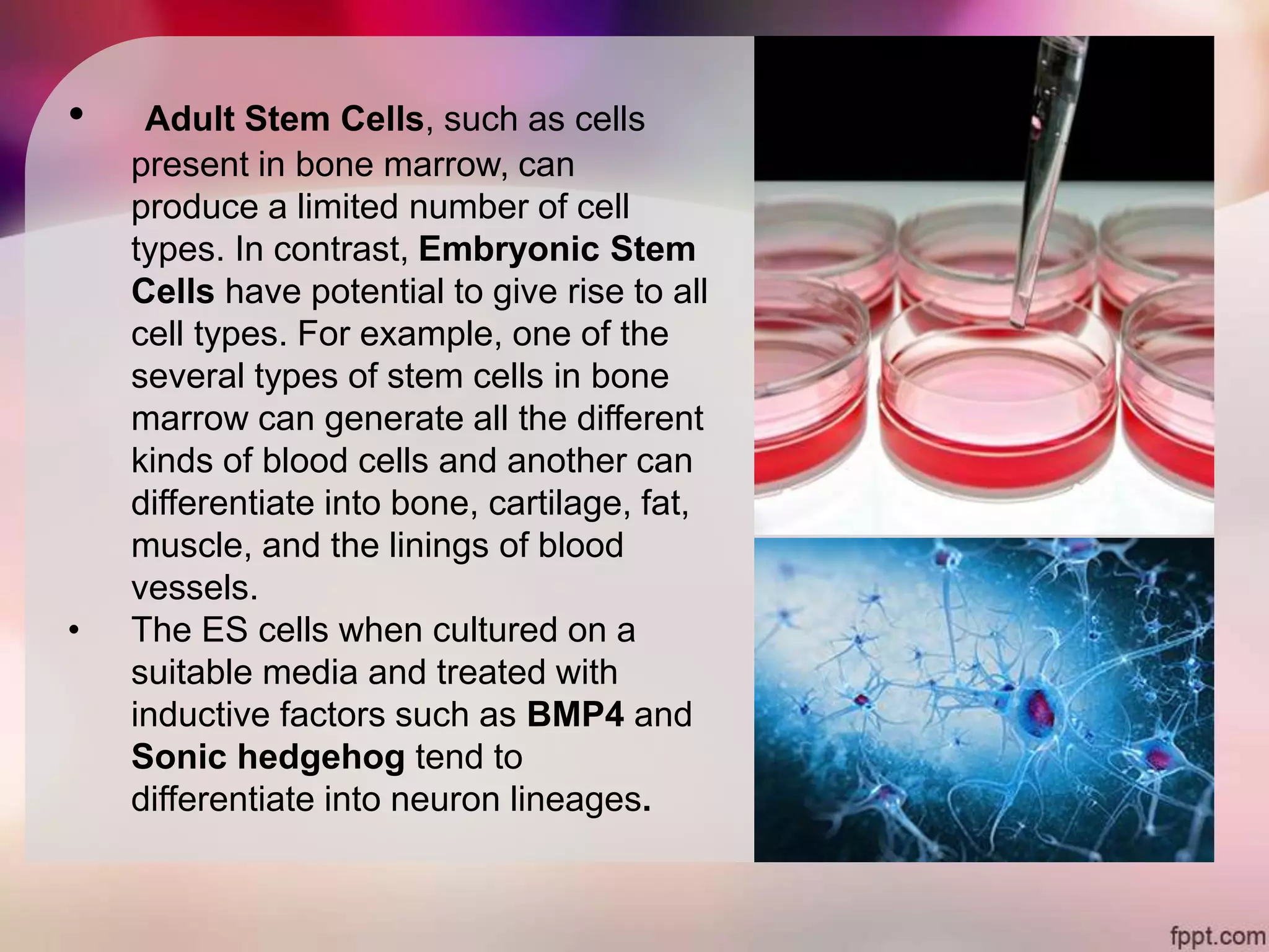 Induced Pluripotent Stem Cells, iPSCs | PPTX