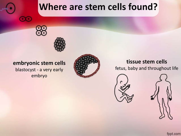 Induced Pluripotent Stem Cells, iPSCs | PPTX