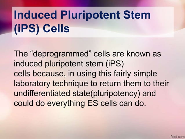 Induced Pluripotent Stem Cells, iPSCs | PPTX