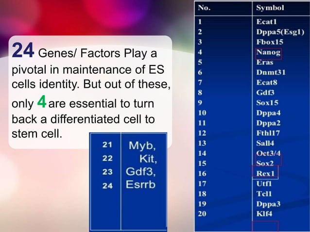 Induced Pluripotent Stem Cells, iPSCs | PPTX