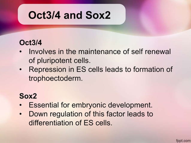 Induced Pluripotent Stem Cells, iPSCs | PPTX