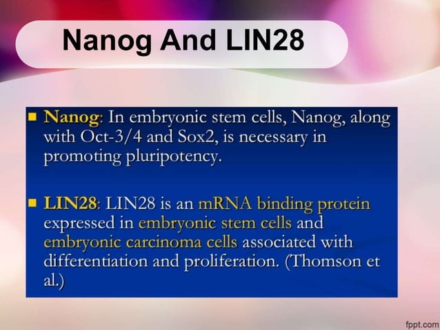 Induced Pluripotent Stem Cells, iPSCs | PPTX