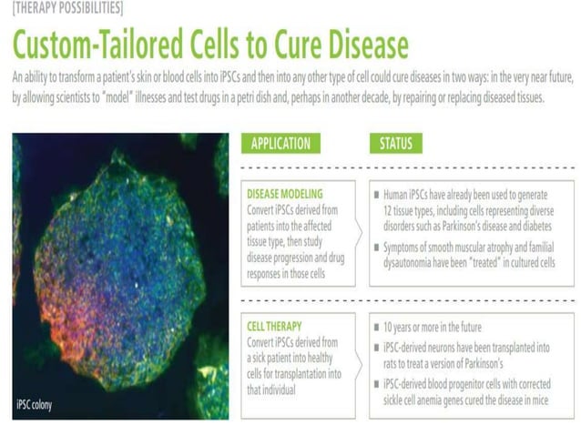 Induced Pluripotent Stem Cells, iPSCs | PPTX