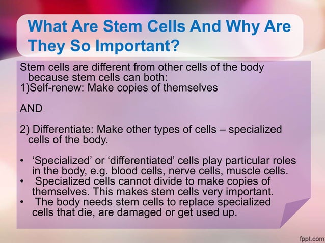 Induced Pluripotent Stem Cells, iPSCs | PPTX