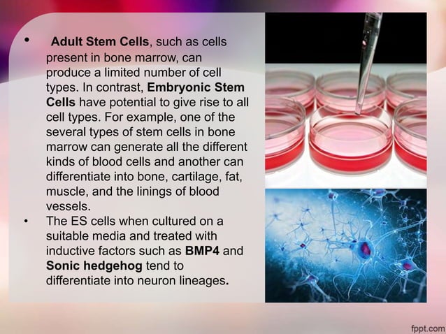Induced Pluripotent Stem Cells, iPSCs | PPTX