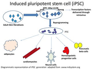 INDUCED PLURIPOTENT STEM CELL AND GENOME ENGINEERING | PPTX