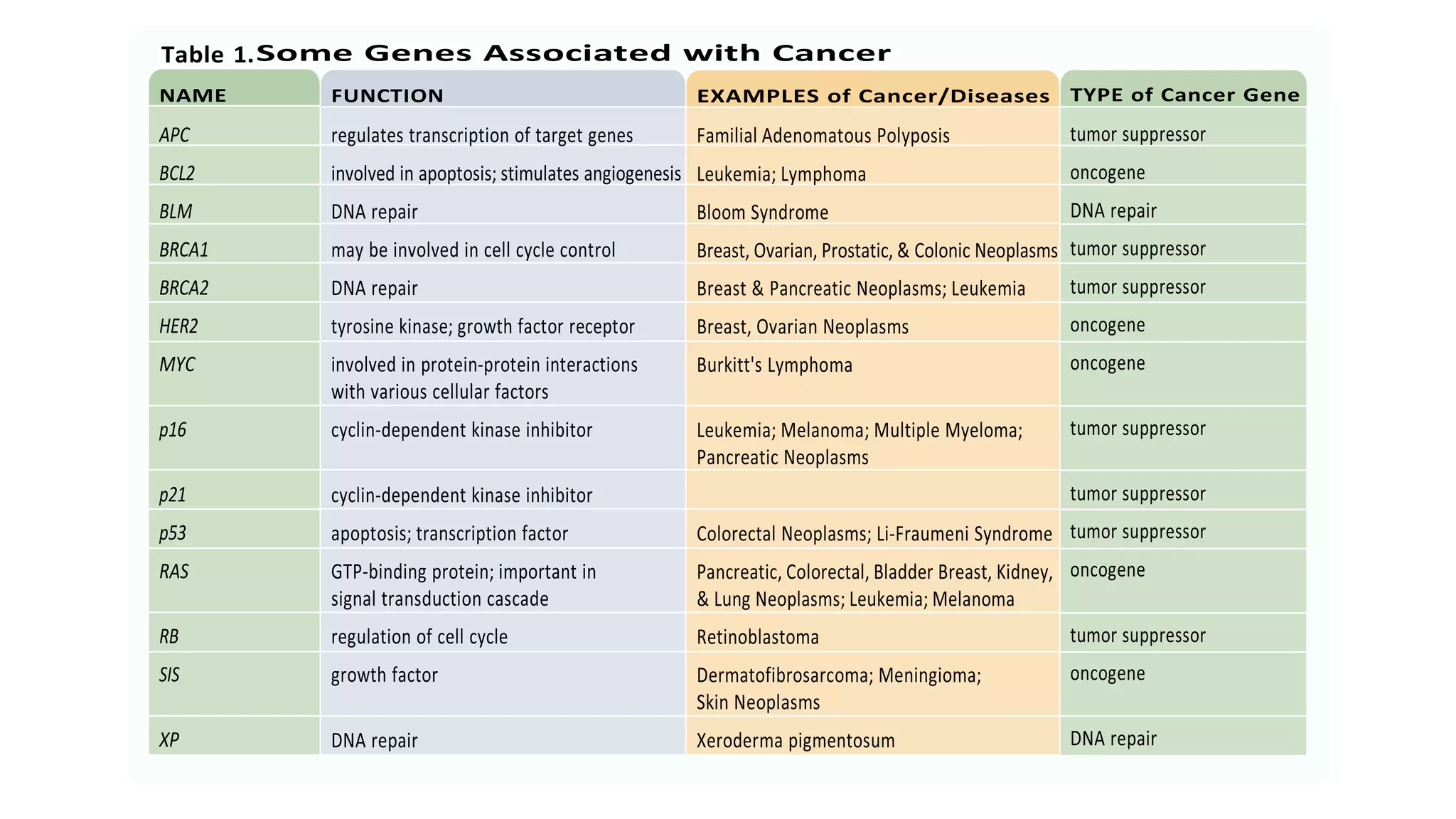 Induced Pluripotent Stem Cells (iPSCs) | PPTX
