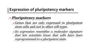 Induced Pluripotent Stem Cells (iPSCs) | PPTX
