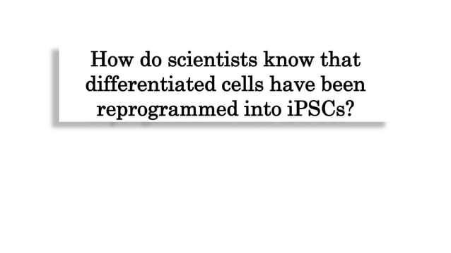 Induced Pluripotent Stem Cells (iPSCs) | PPTX | Cancer | Diseases and Conditions