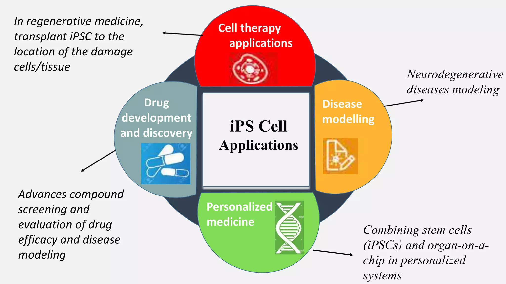 Stem Cells iPSCs | PPTX