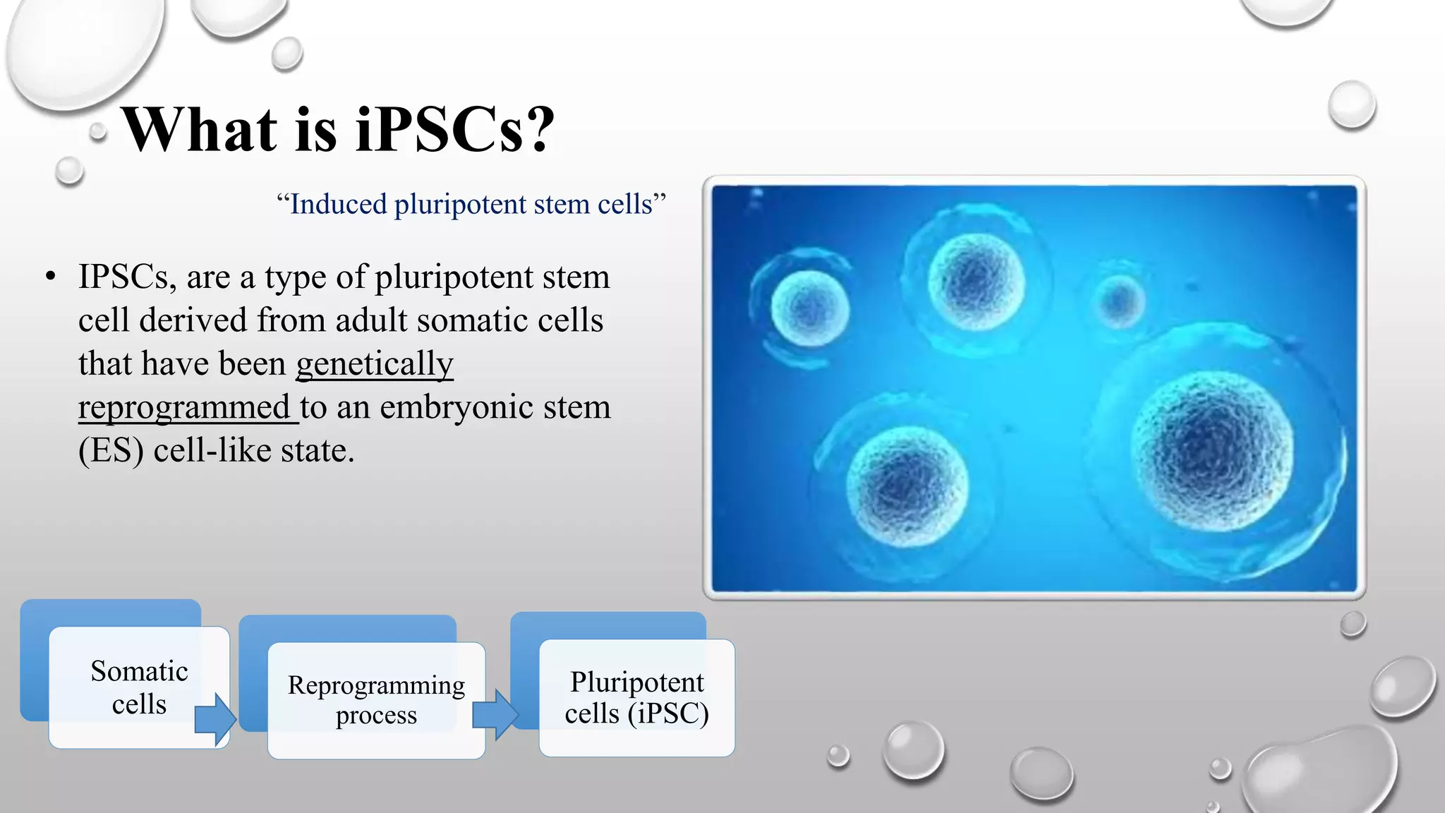 Stem Cells iPSCs | PPTX