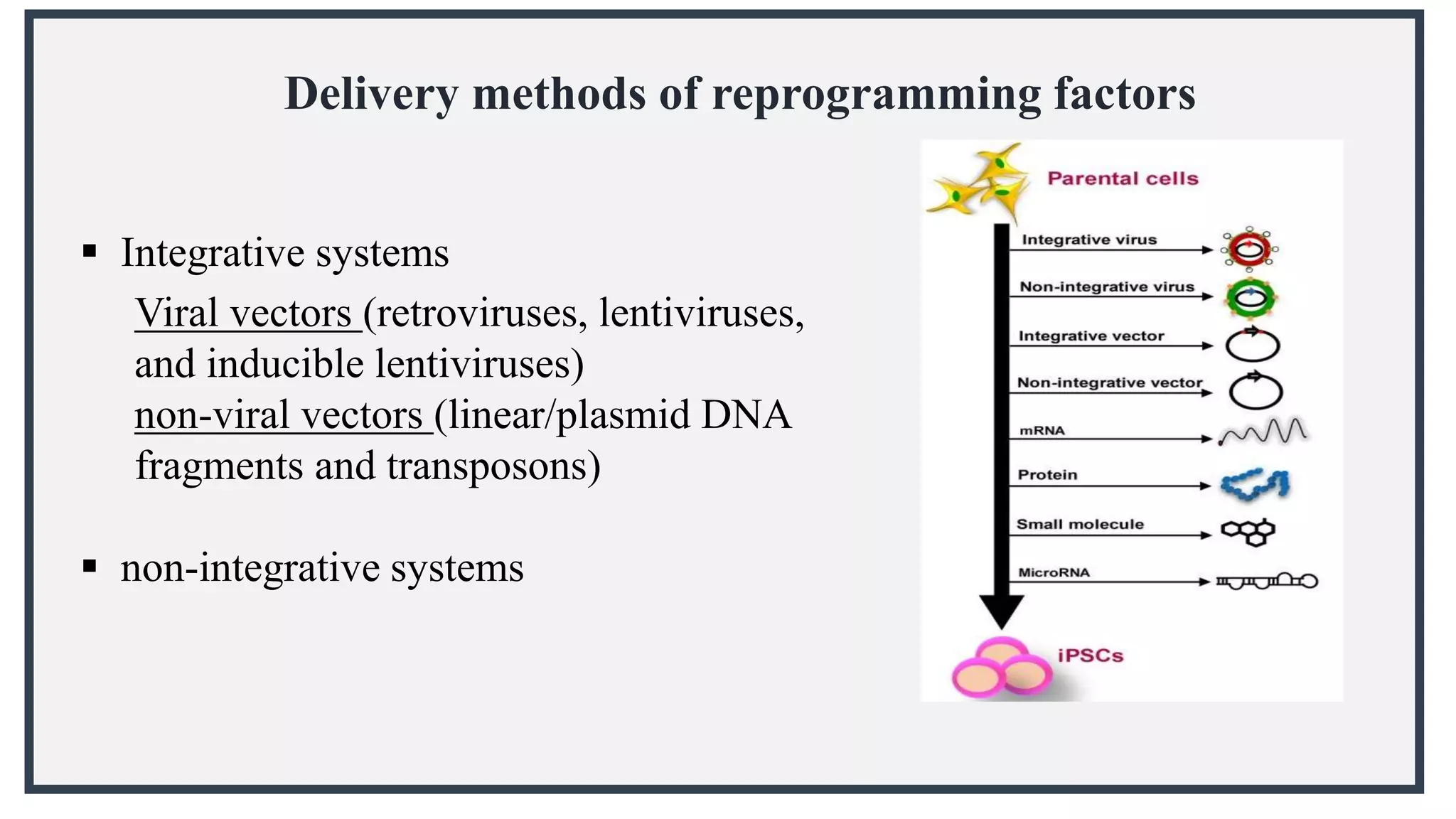 Stem Cells iPSCs | PPTX