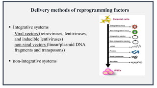 Stem Cells iPSCs | PPTX