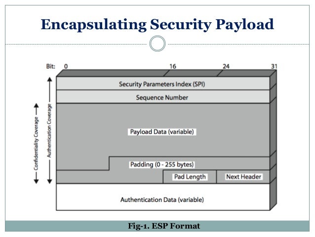 The Tcpip Guide Ipsec Encapsulating Security Payload