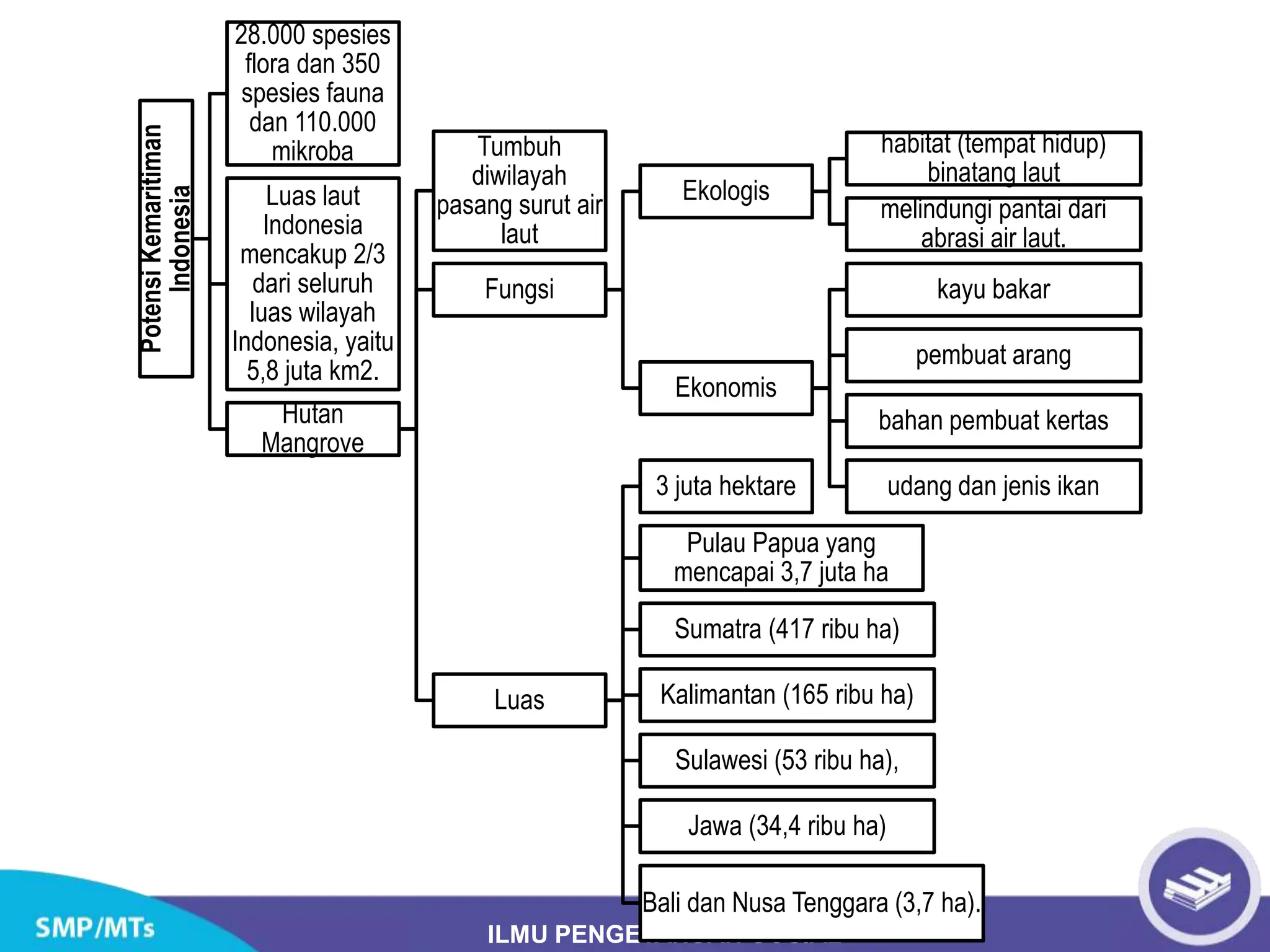 IPS Kelas 7 BAB 1 fixx.pptx
