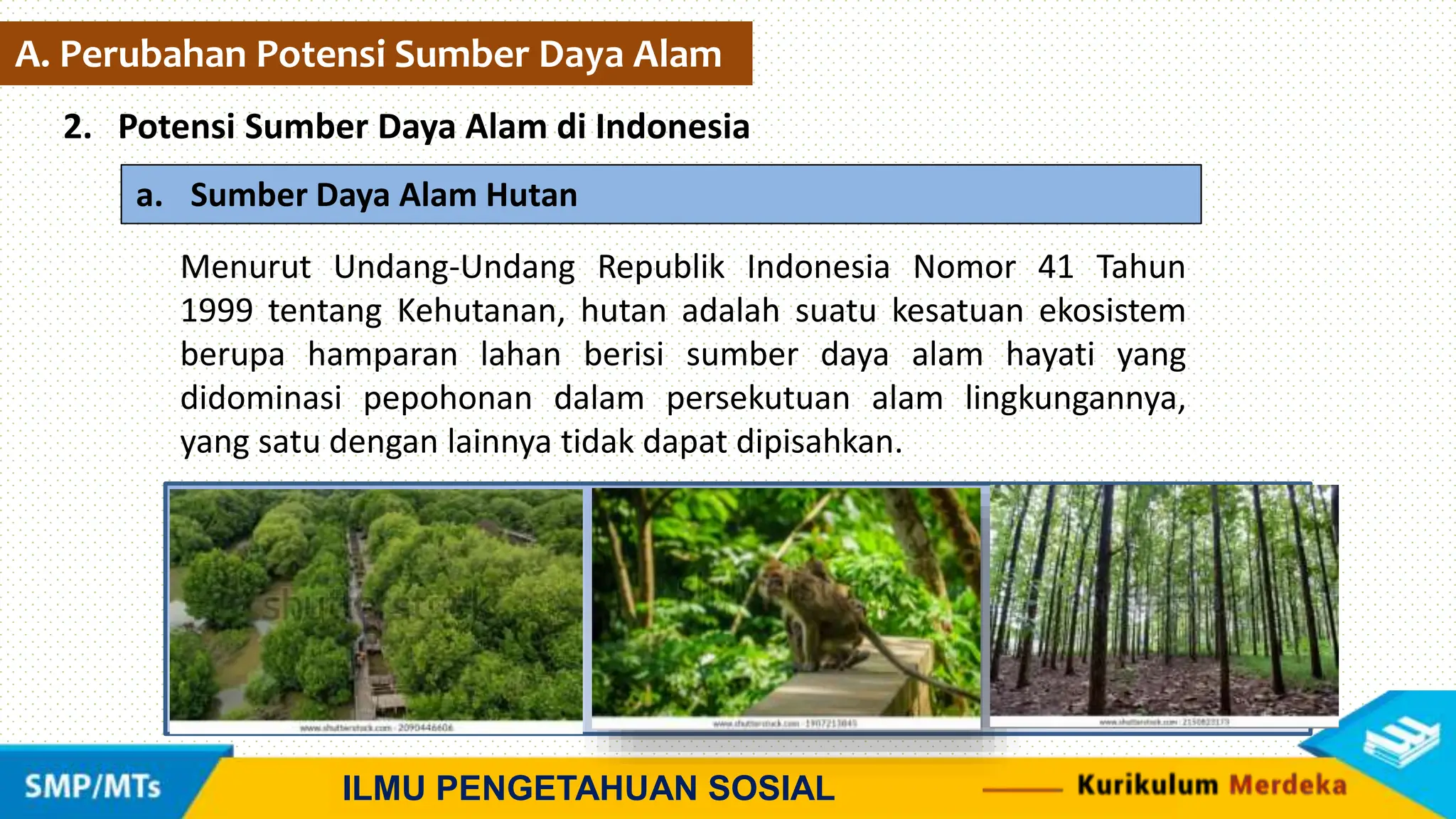 IPS SMP Kelas VII - Bab 3 Potensi Ekonomi Lingkungan.pptx