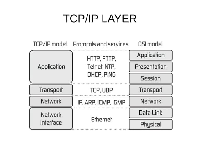 TCP/IP FRAME FORMAT | ODP