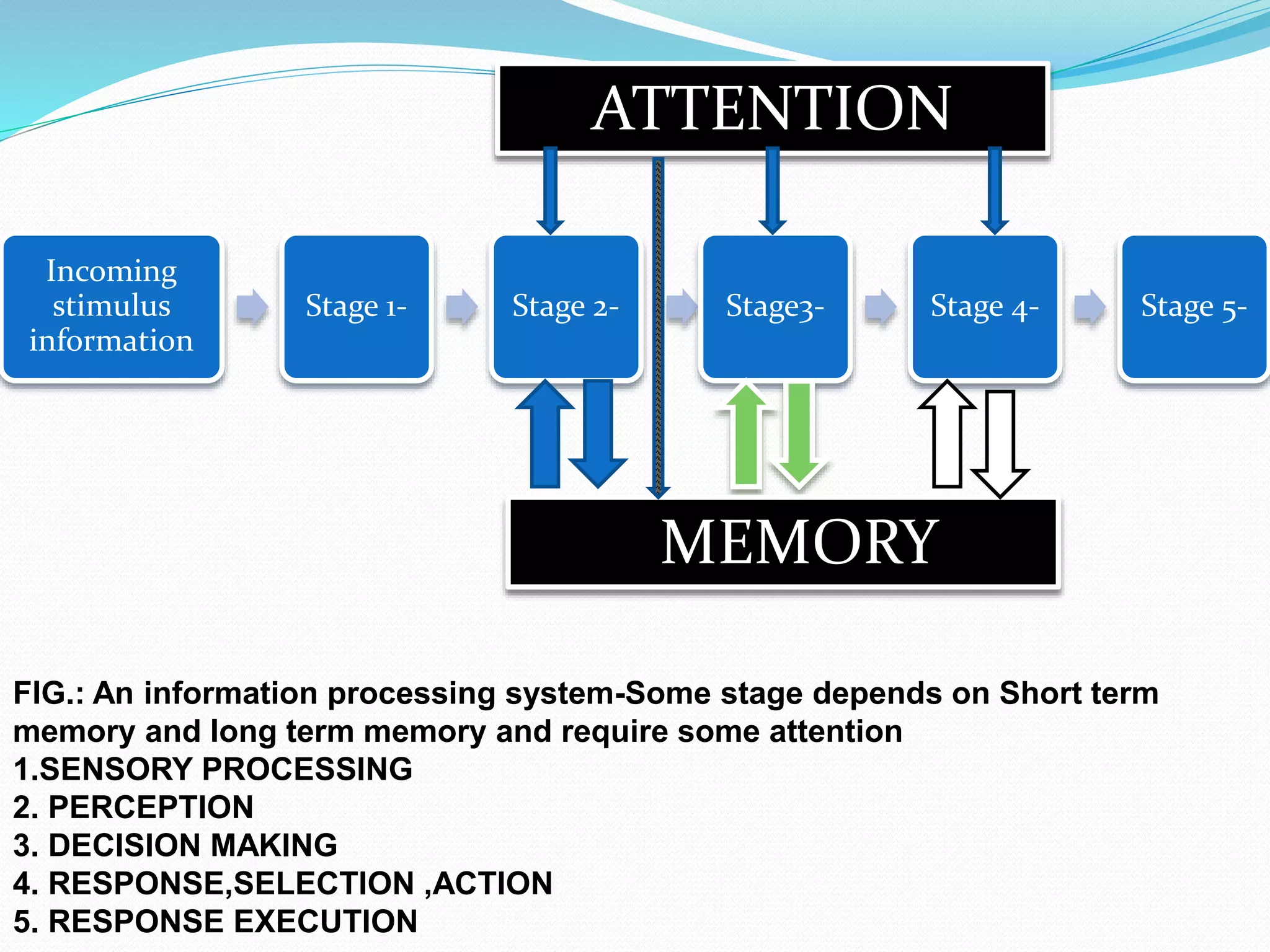 Information Processing Theory(IPT) | PPTX