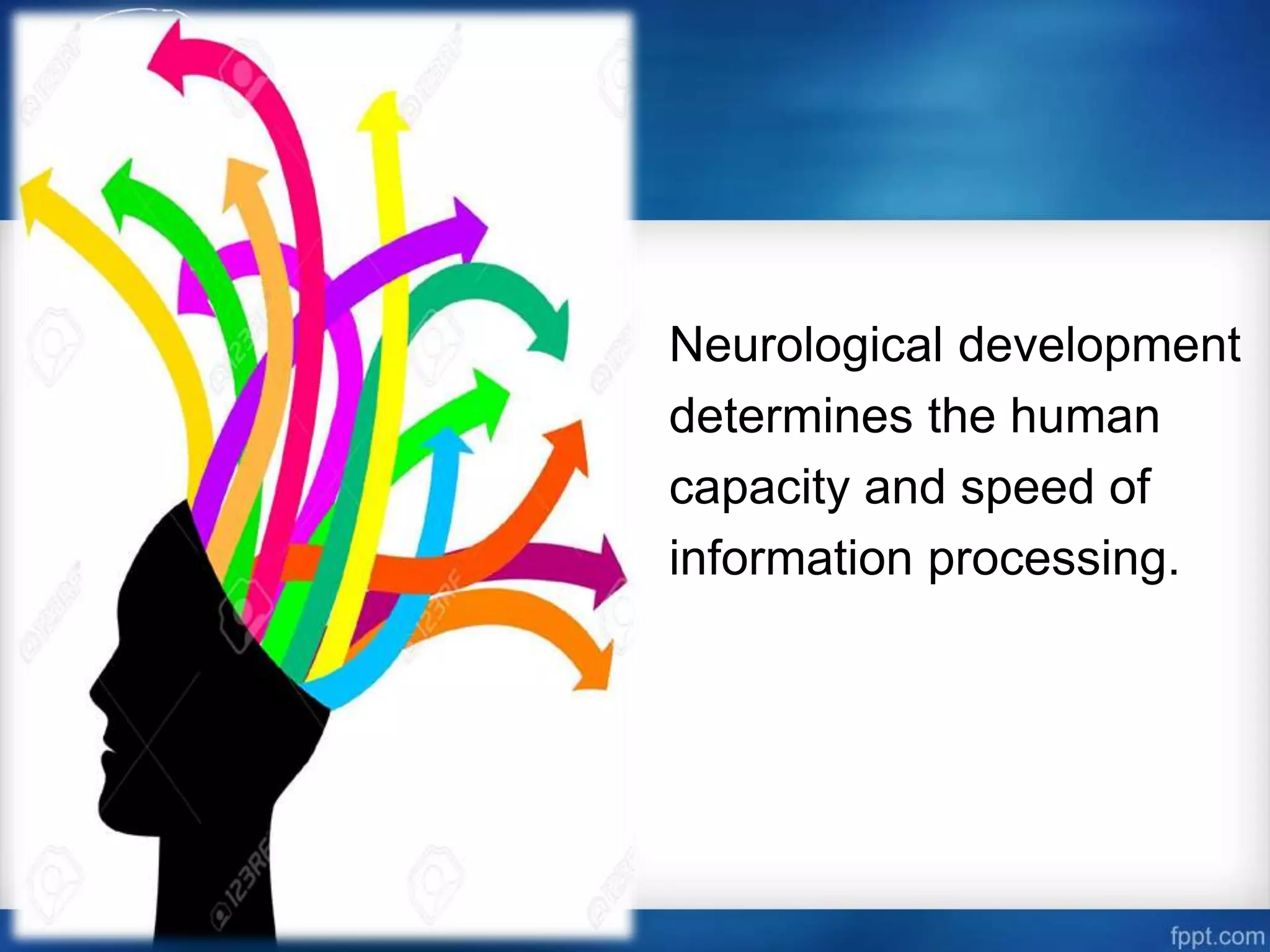 Information Processing Theory Ipt Pptx