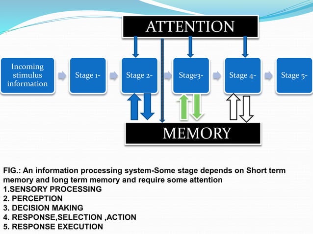 Information Processing Theory Ipt Pptx Data Storage And Warehousing Computing