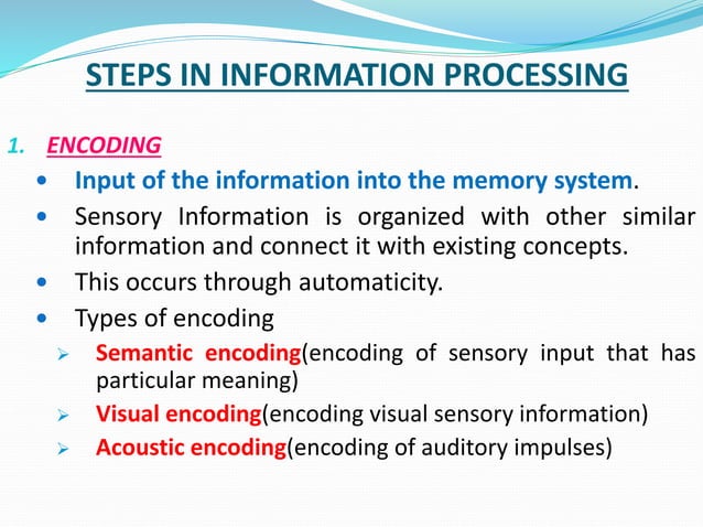 Information Processing Theory(IPT) | PPTX | Data Storage and ...