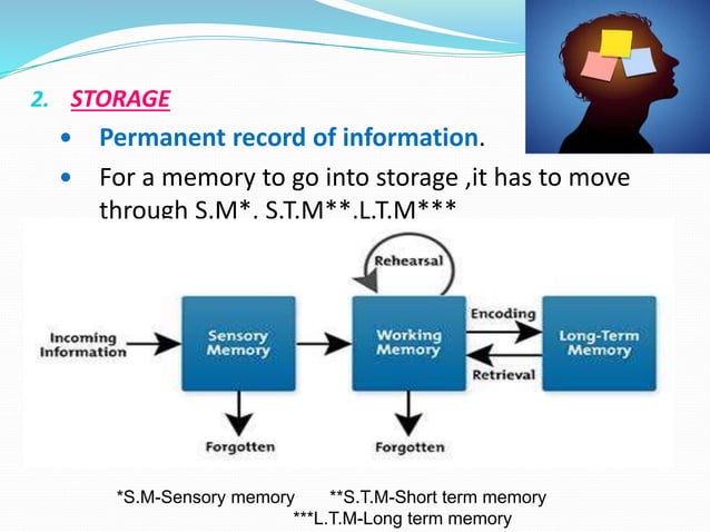 Information Processing Theory(IPT) | PPTX | Data Storage and Warehousing | Computing