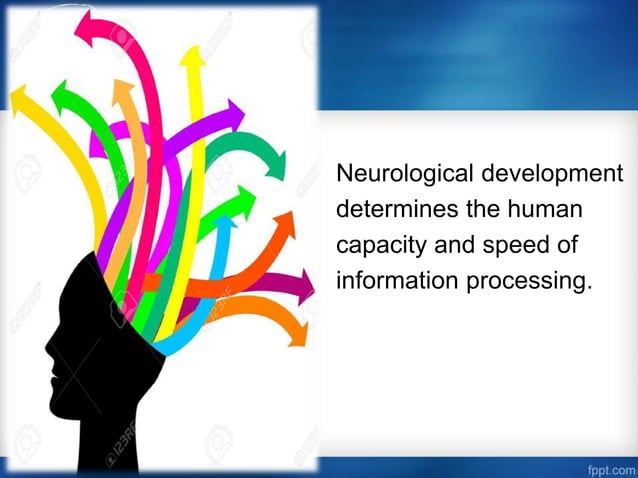 Information Processing Theory(IPT) | PPTX | Data Storage and ...