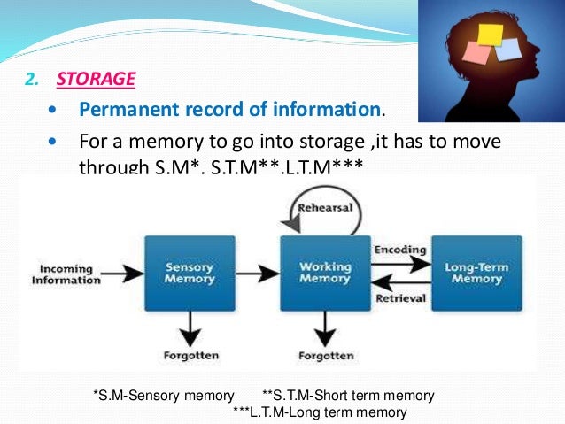 Information Processing Theory Ipt