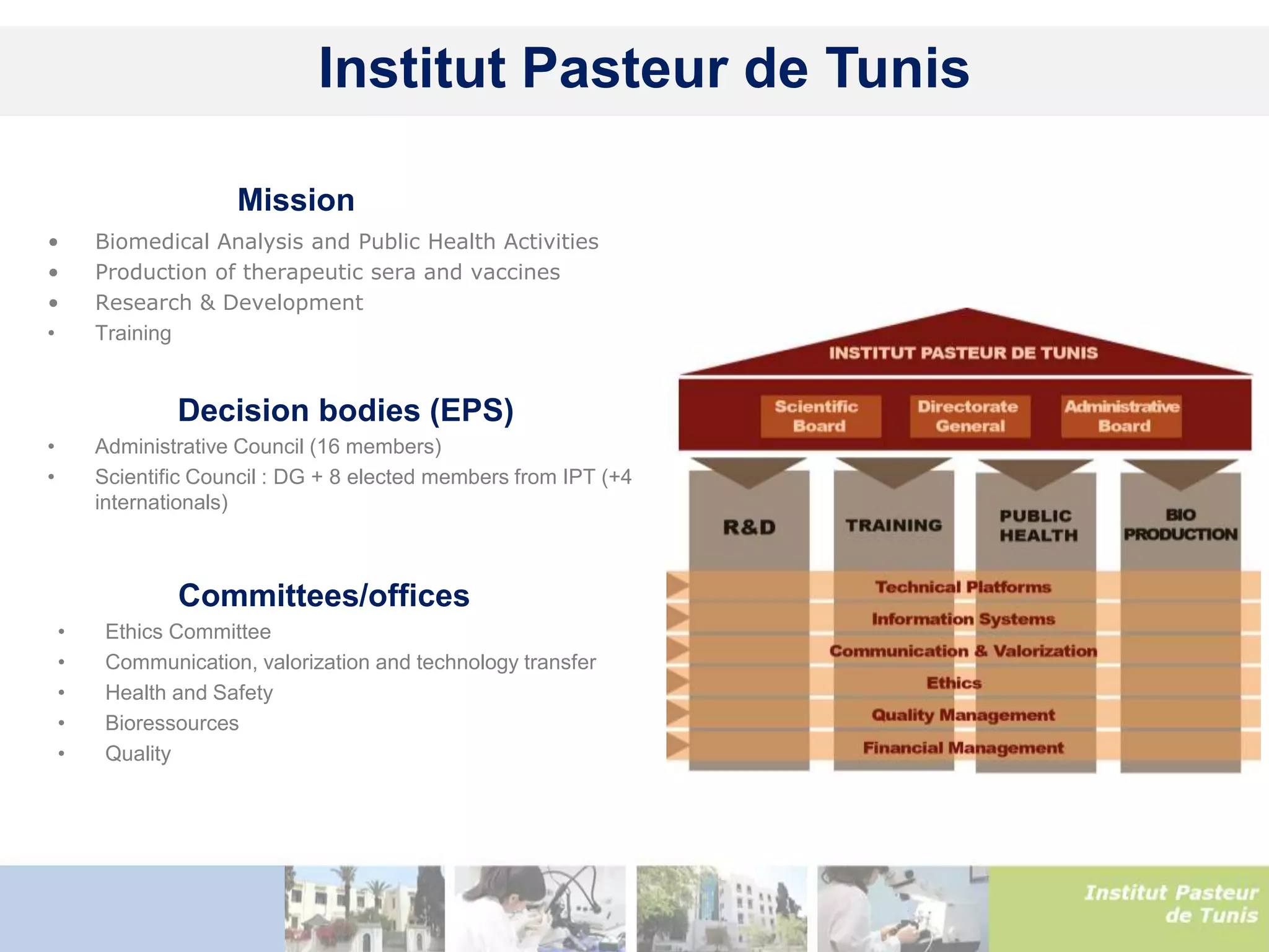 L'Institut Pasteur de Tunis | PPTX