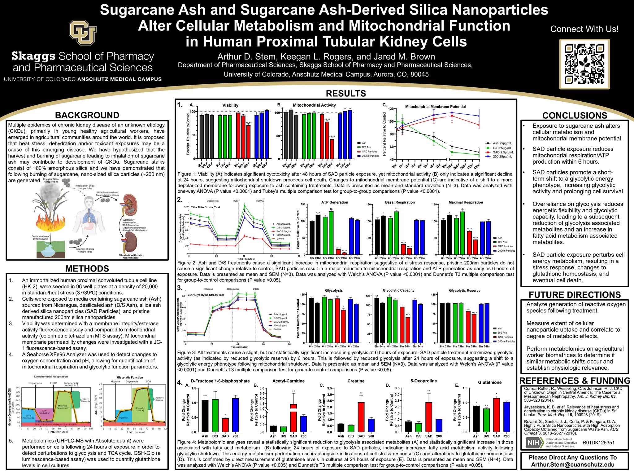 Sugarcane Ash and Sugarcane Ash-Derived Silica Nanoparticles Alter ...