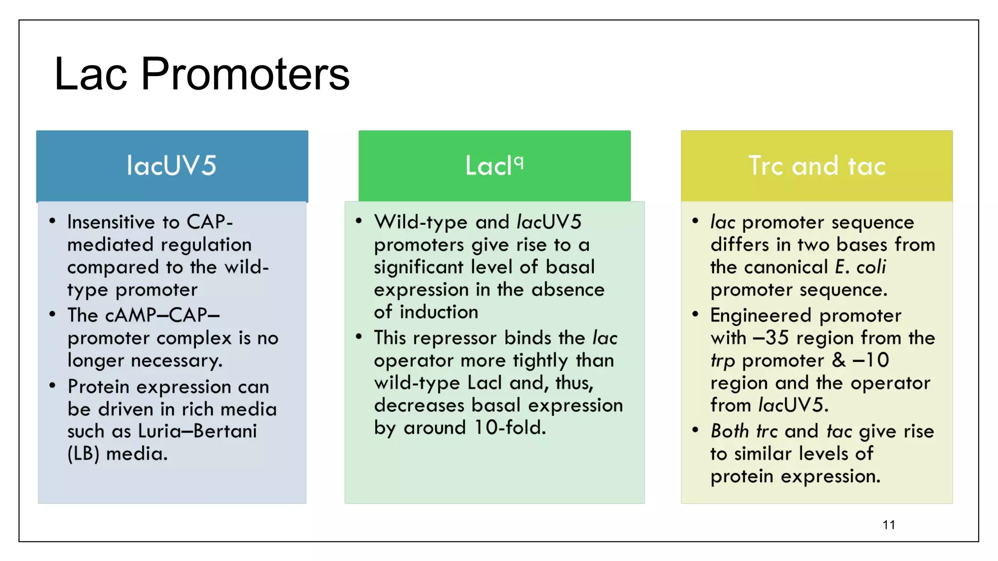 Iptg induction | PPT