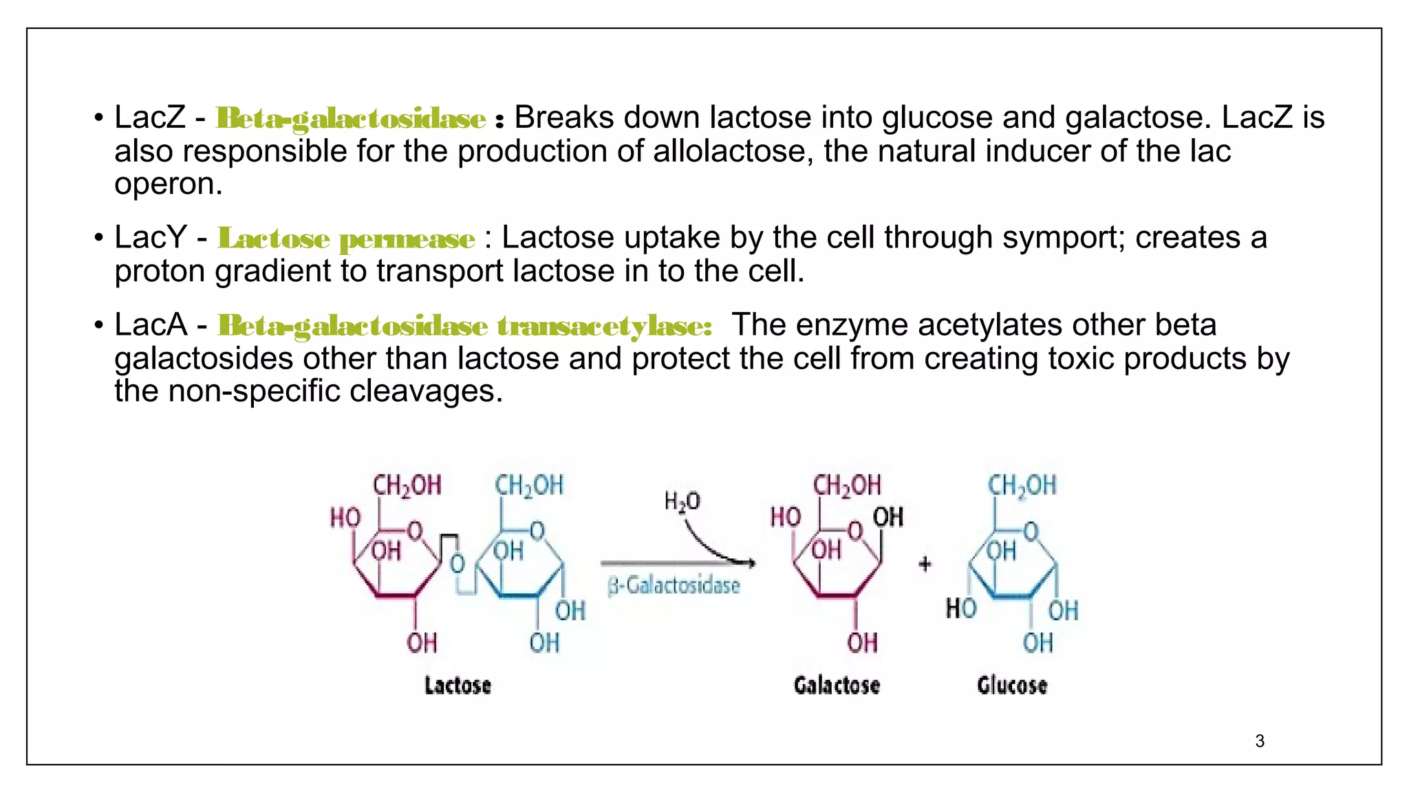 Iptg induction | PPT