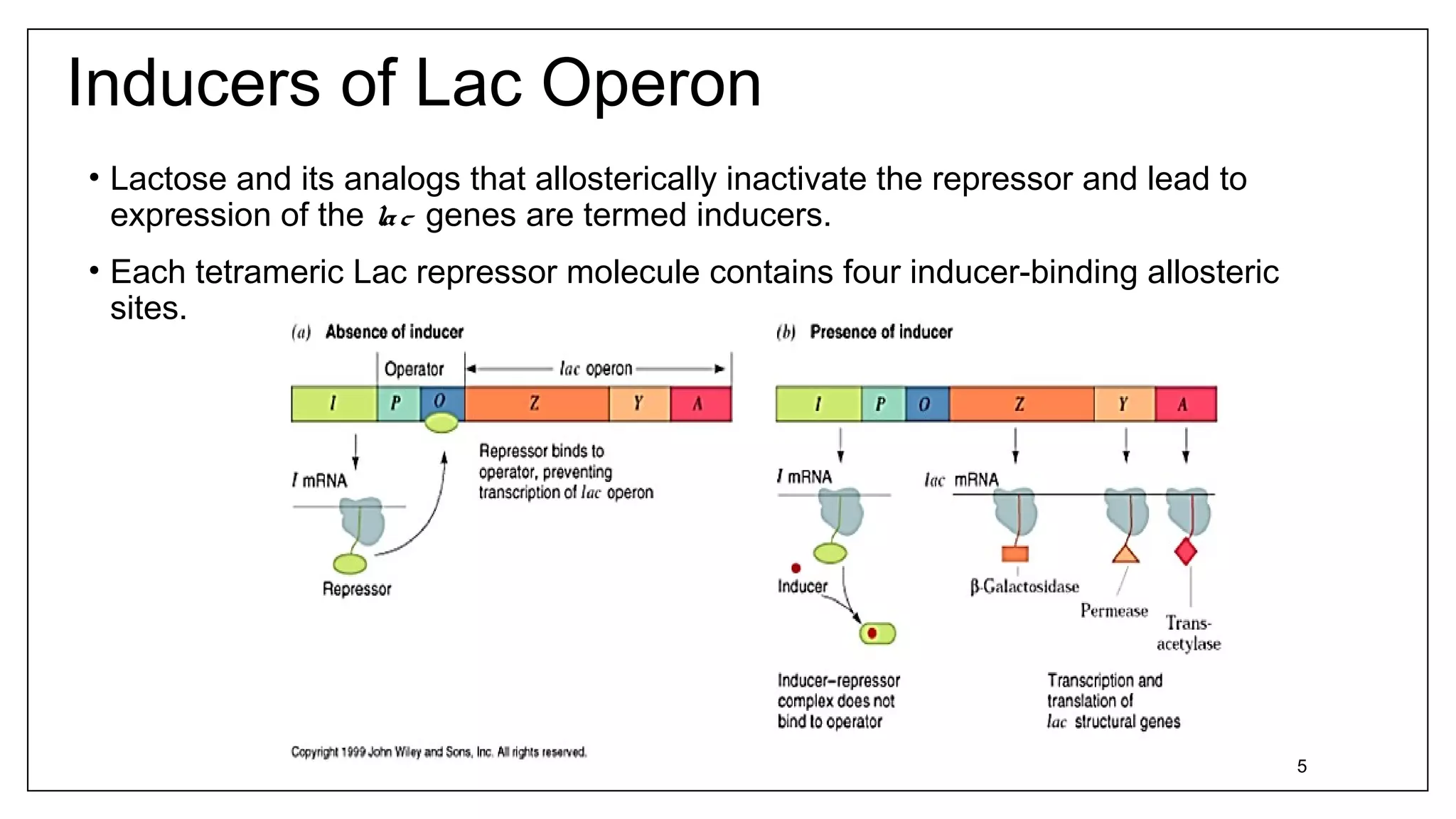 Iptg induction | PPT