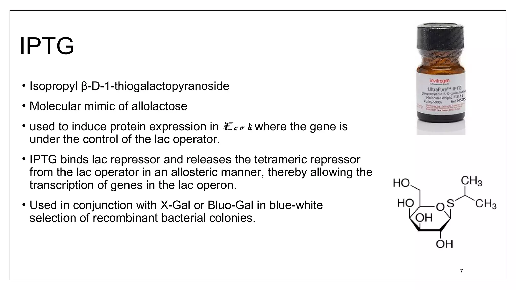 Iptg induction | PPT