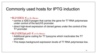 Iptg induction | PPT