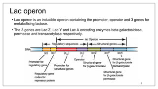 Iptg induction | PPT