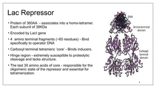 Iptg induction | PPT
