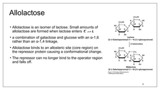 Iptg induction | PPT