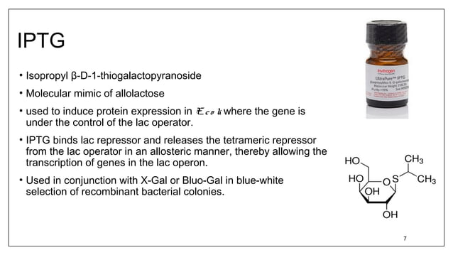 Iptg induction | PPT