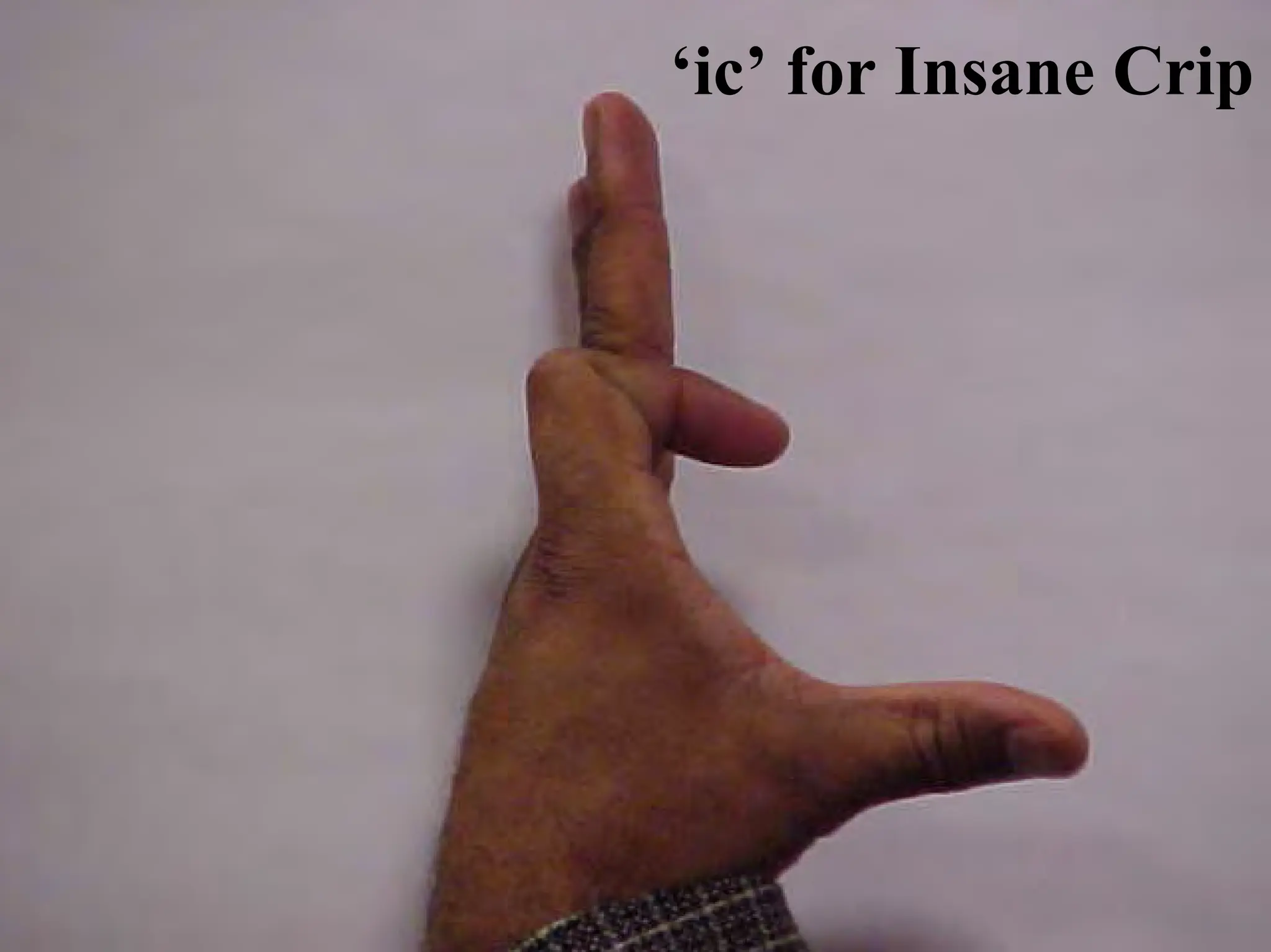 IPTM_Basic_Street_Gangs_Hand_Signs9k1.pdf