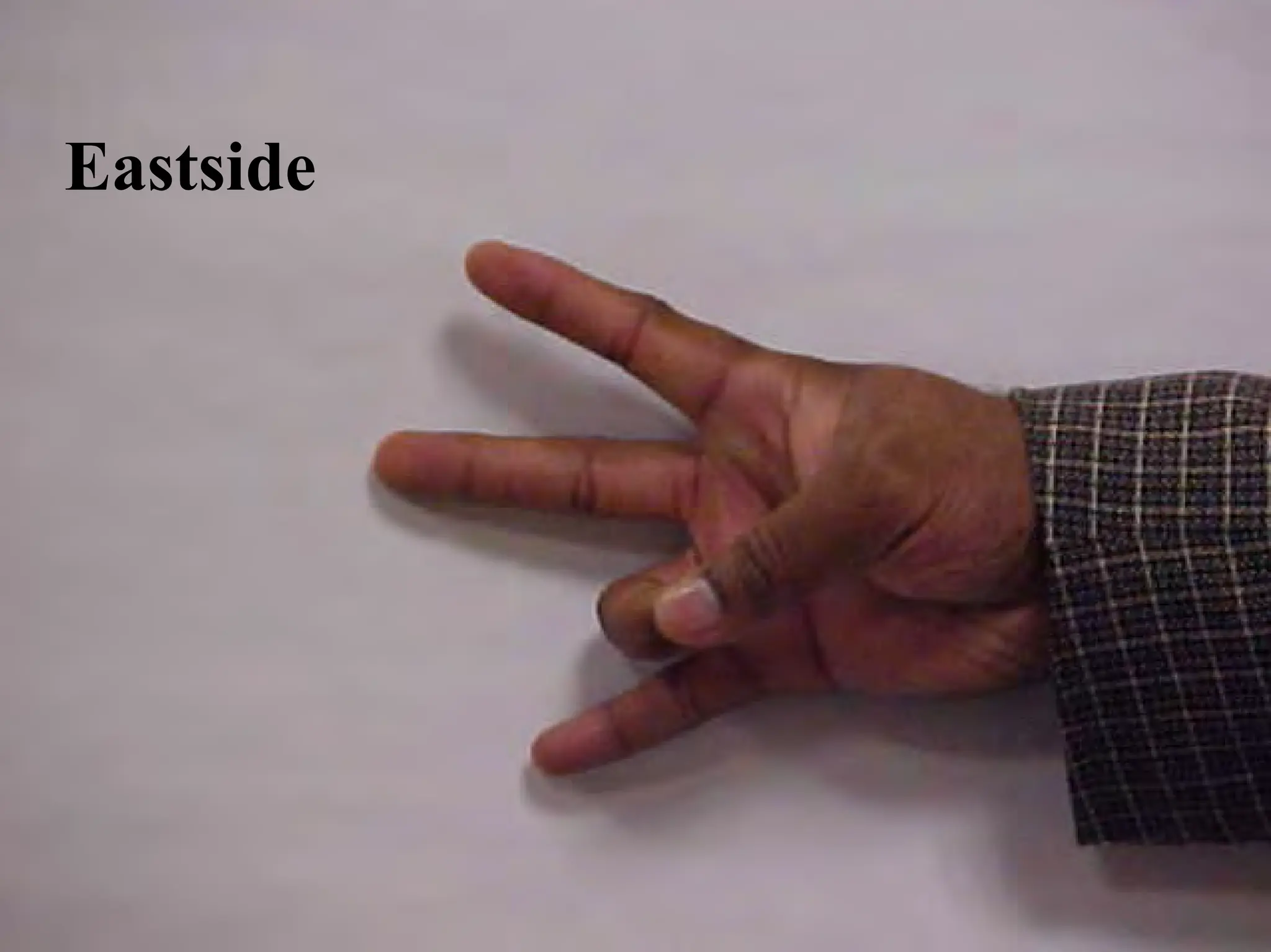 IPTM_Basic_Street_Gangs_Hand_Signs9k1.pdf