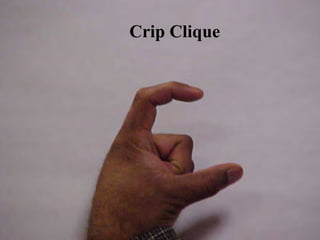 IPTM_Basic_Street_Gangs_Hand_Signs9k1.pdf