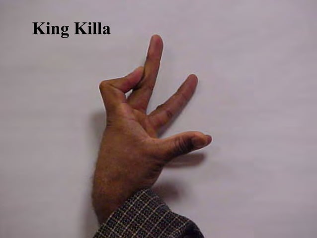 IPTM_Basic_Street_Gangs_Hand_Signs9k1.pdf