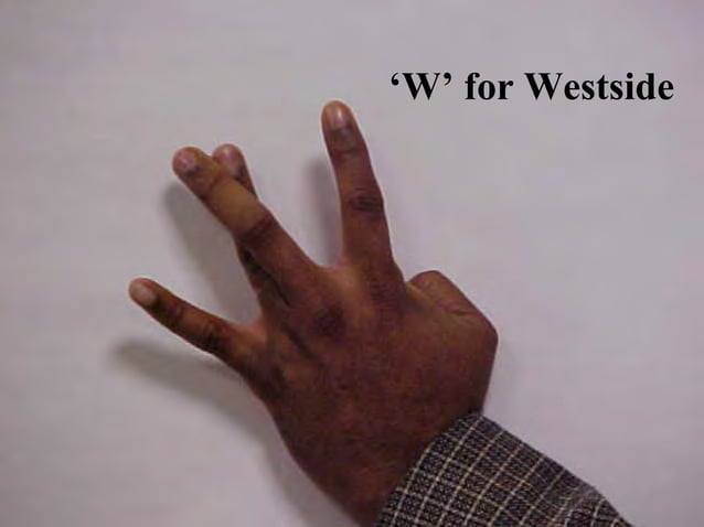 IPTM_Basic_Street_Gangs_Hand_Signs9k1.pdf
